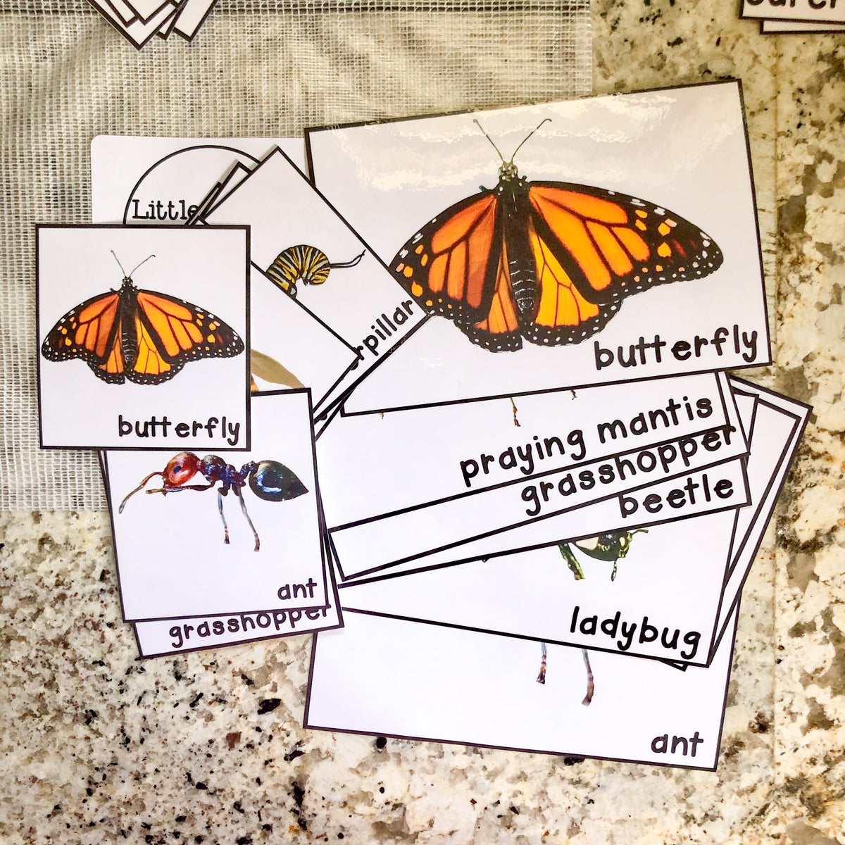 Bugs & Insects Tot School Bundle – Little Lucy's Tot School