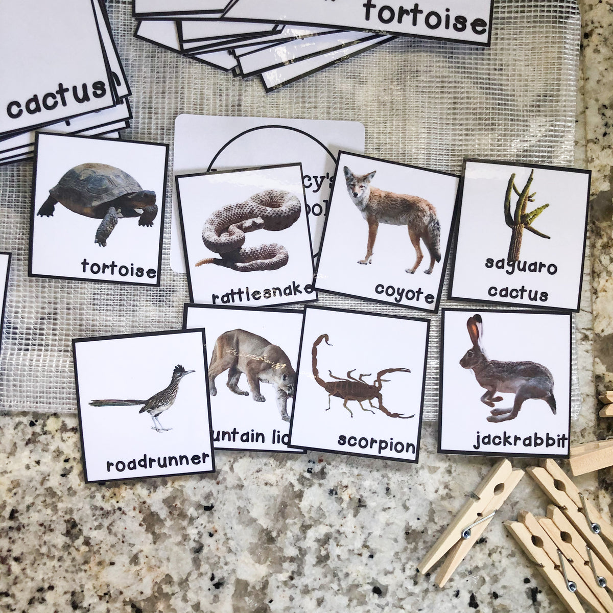 Desert Tot School Bundle – Little Lucy's Tot School