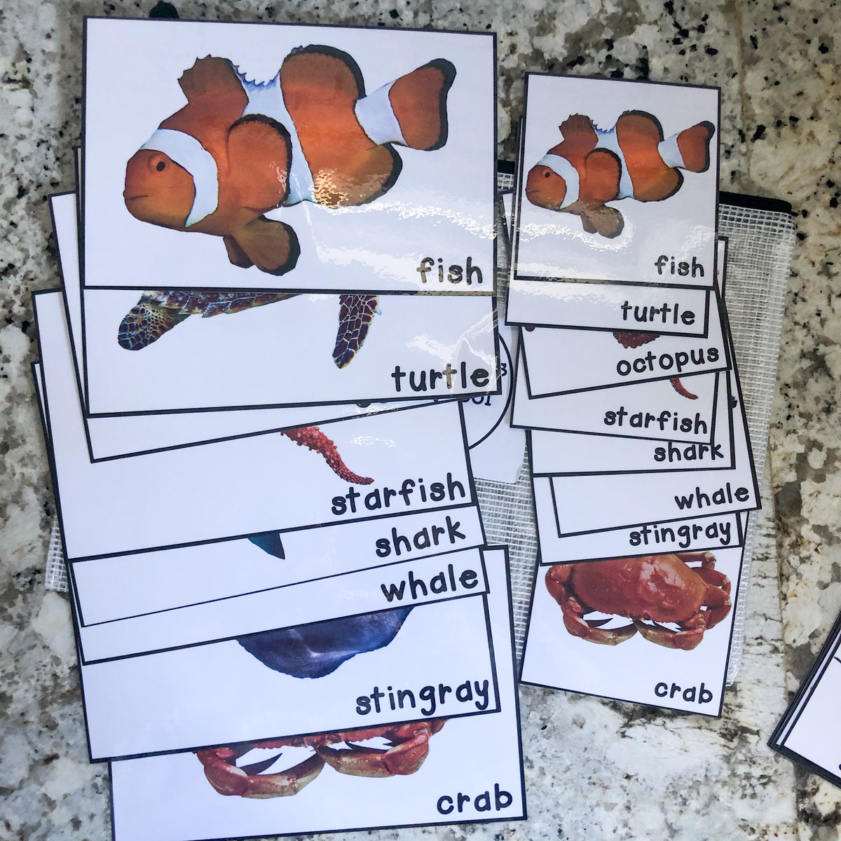 Ocean Tot School Bundle – Little Lucy's Tot School