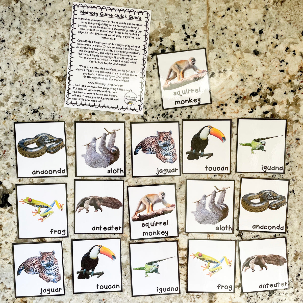 Rainforest Memory Game Cards – Little Lucy's Tot School