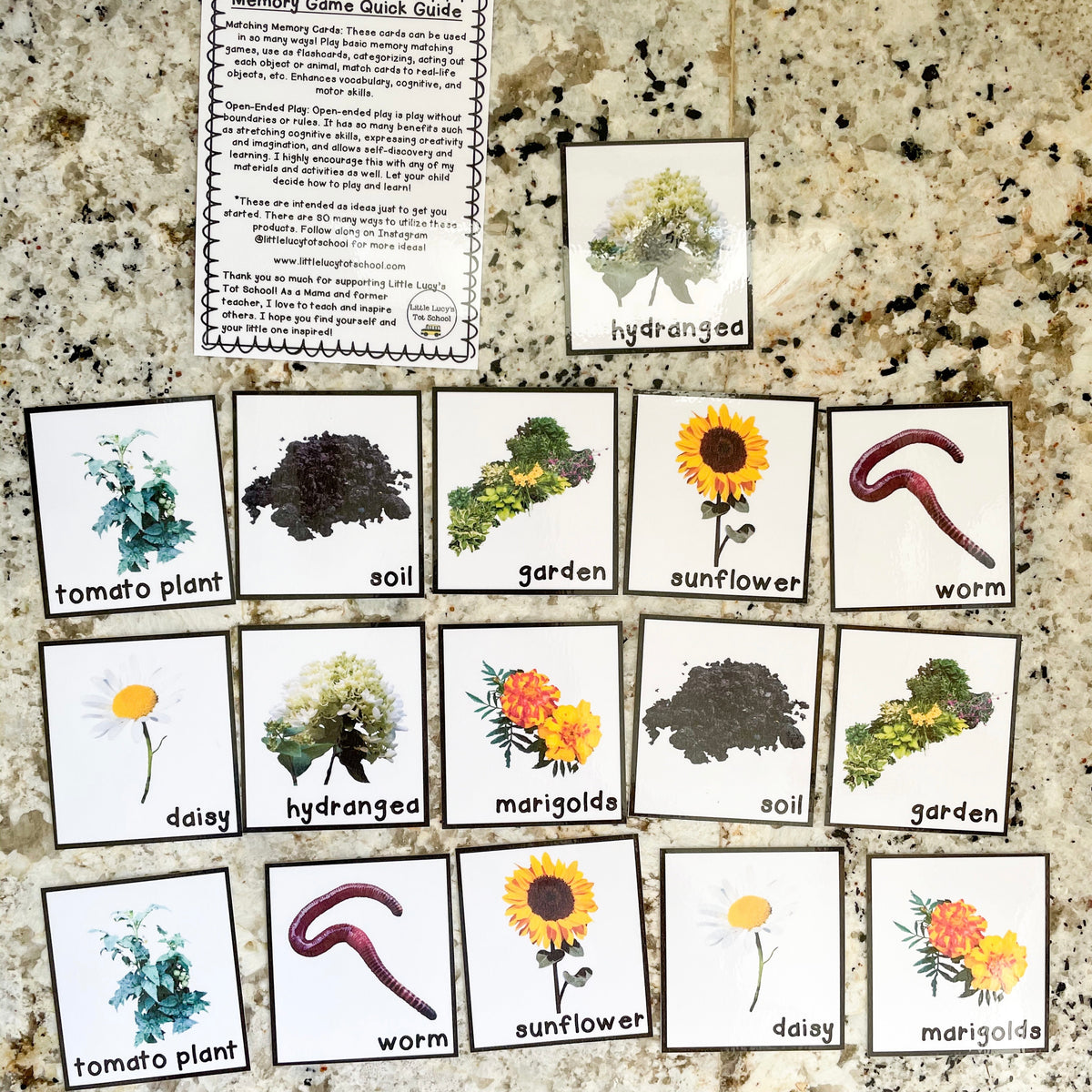 Garden Memory Game Cards – Little Lucy's Tot School